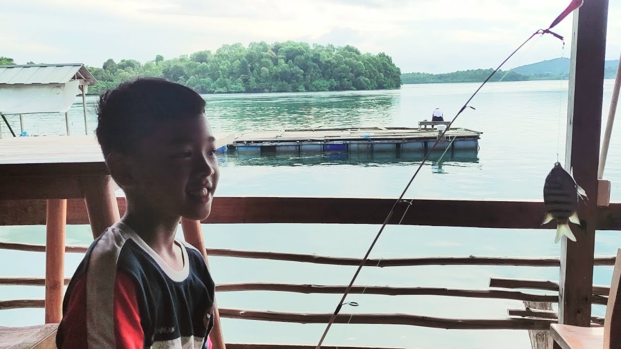 Mancing Ikan Di Kelong Almira #fishing #holiday #travelling # ...