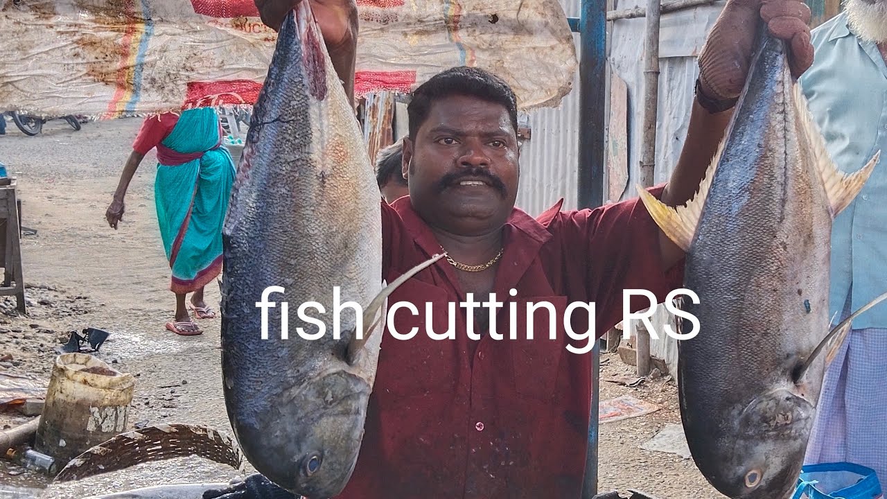 alaathi fish and parai fish cutting video/Fish cutting RS - YouTube