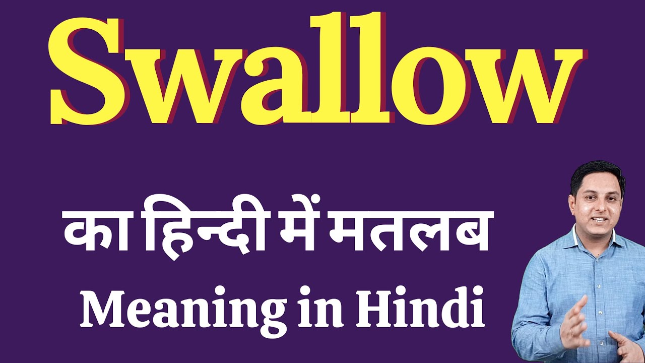 Swallow Meaning In Hindi Swallow Explained