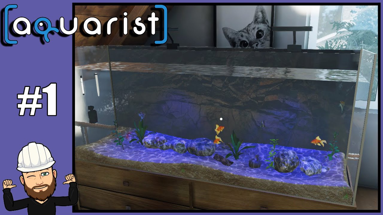 FIRST LOOK - Aquarist #1 - Aquarium Simulator - YouTube