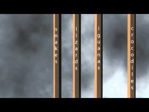Understanding Modern Evolution Facts - Part 1 of 6 (Basic Principles ...