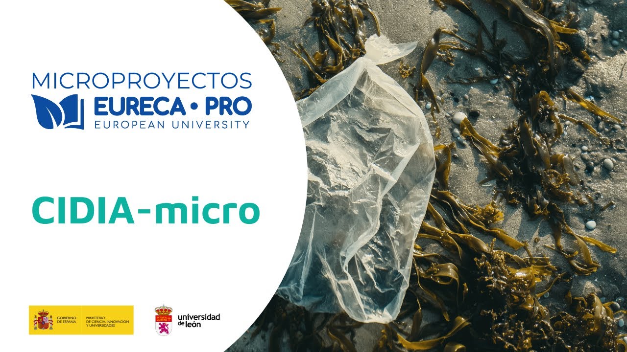 Microproyecto: CiDIA micro - YouTube