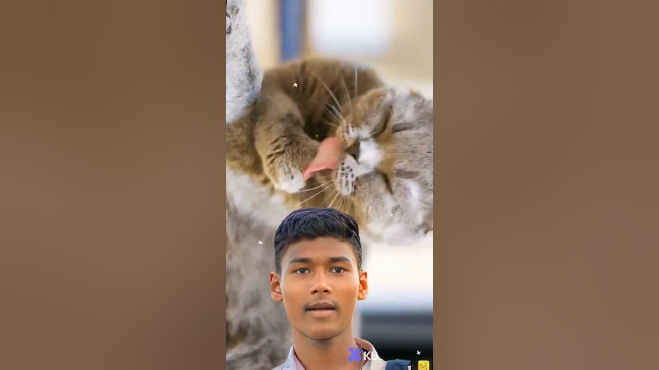 ek-insan-ke-sharir-mein-kitne-haddi-hote-hain-youtube