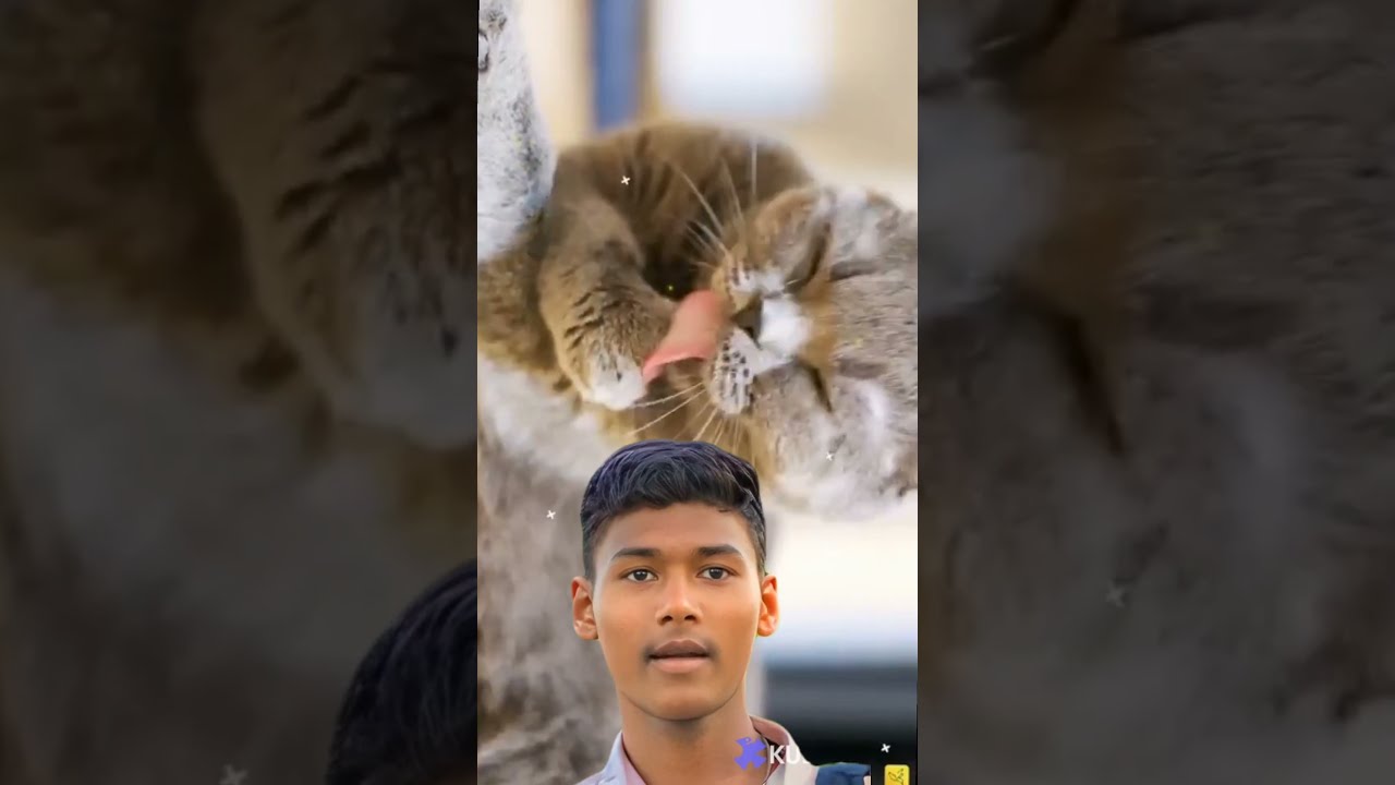 Ek Insan Ke Sharir Mein Kitne Haddi Hote Hain YouTube Ek Insan Ke Sharir Mein Kitne Haddi Hote Hain YouTube
