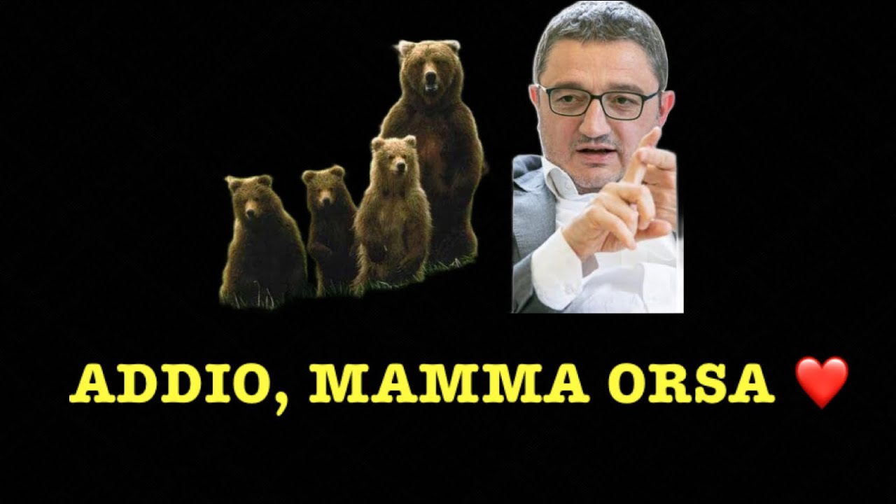 ADDIO, MAMMA ORSA ️ - YouTube