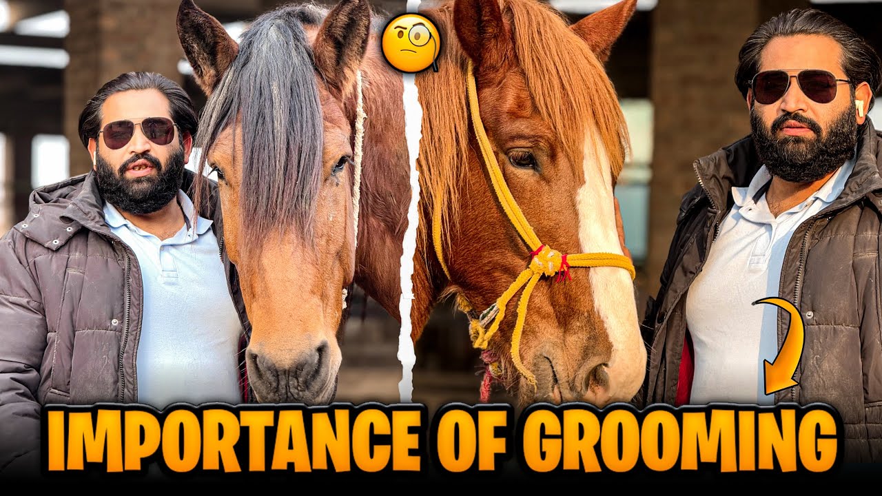 Daily Grooming Routine| Importance of Grooming. - YouTube