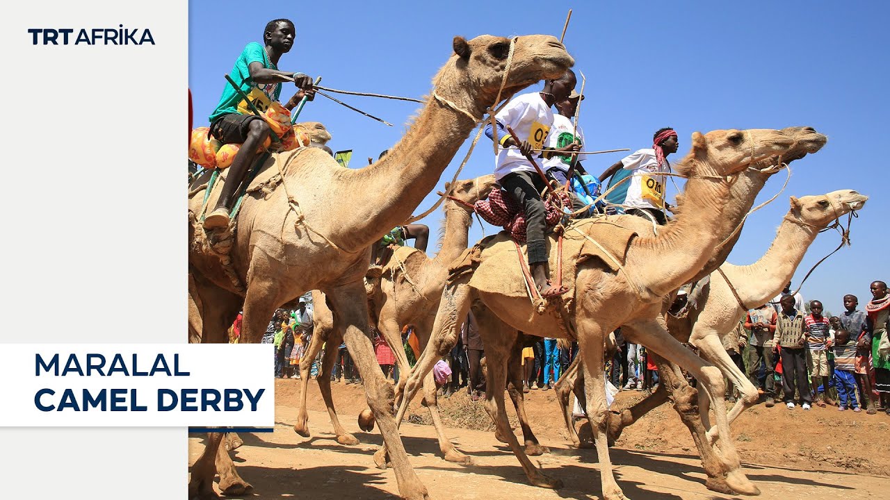 Kenya’s Maralal Camel Derby - YouTube