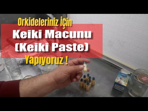 Keiki Macunu (Keiki Paste) Yapıyoruz