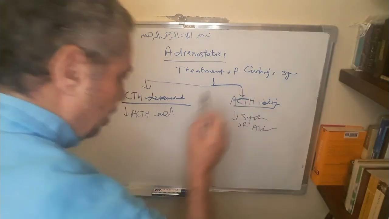 Module 310 - Lecture 9 - Part 3 - YouTube