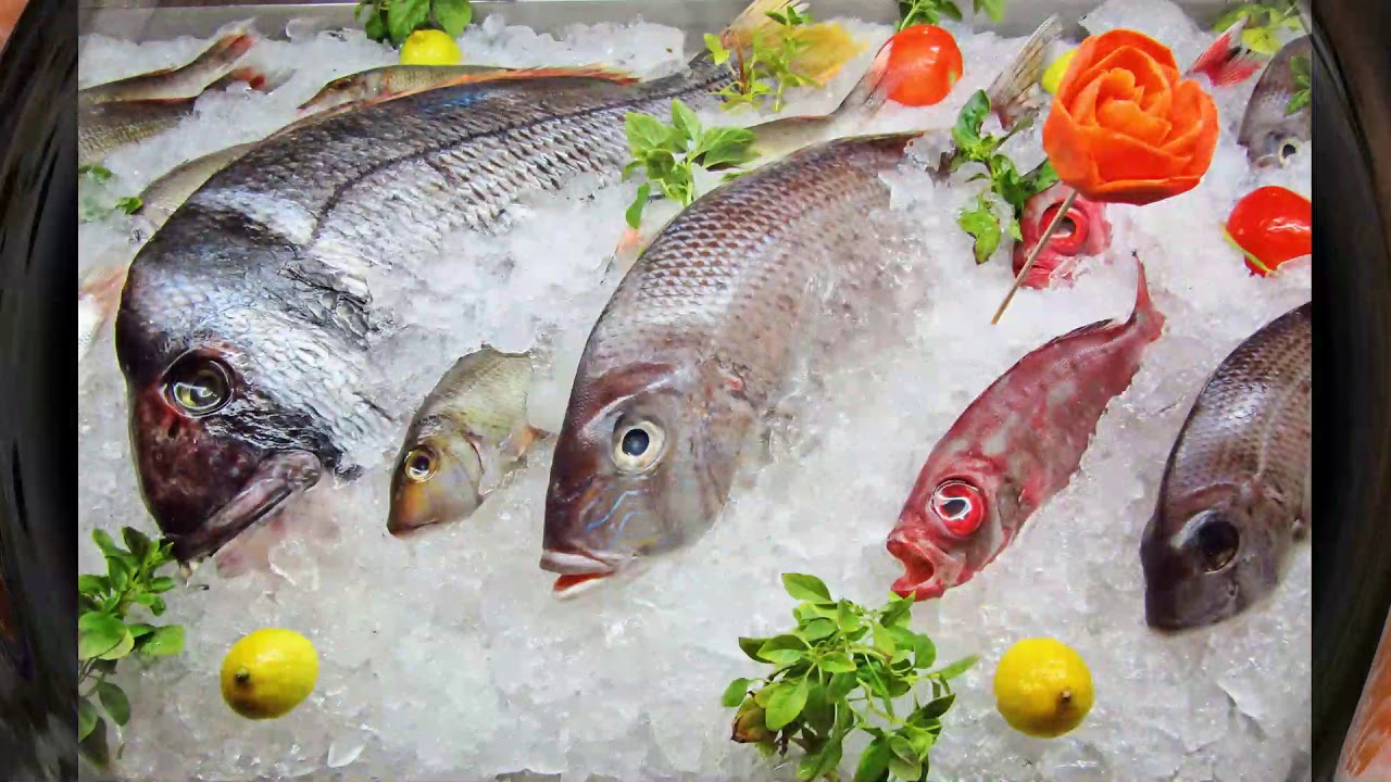 Máquina de Gelo Hexport - Gelo Escama Triturada - YouTube