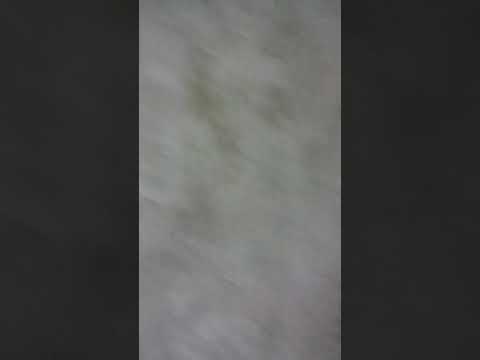 Sən Azərbaycanlısan