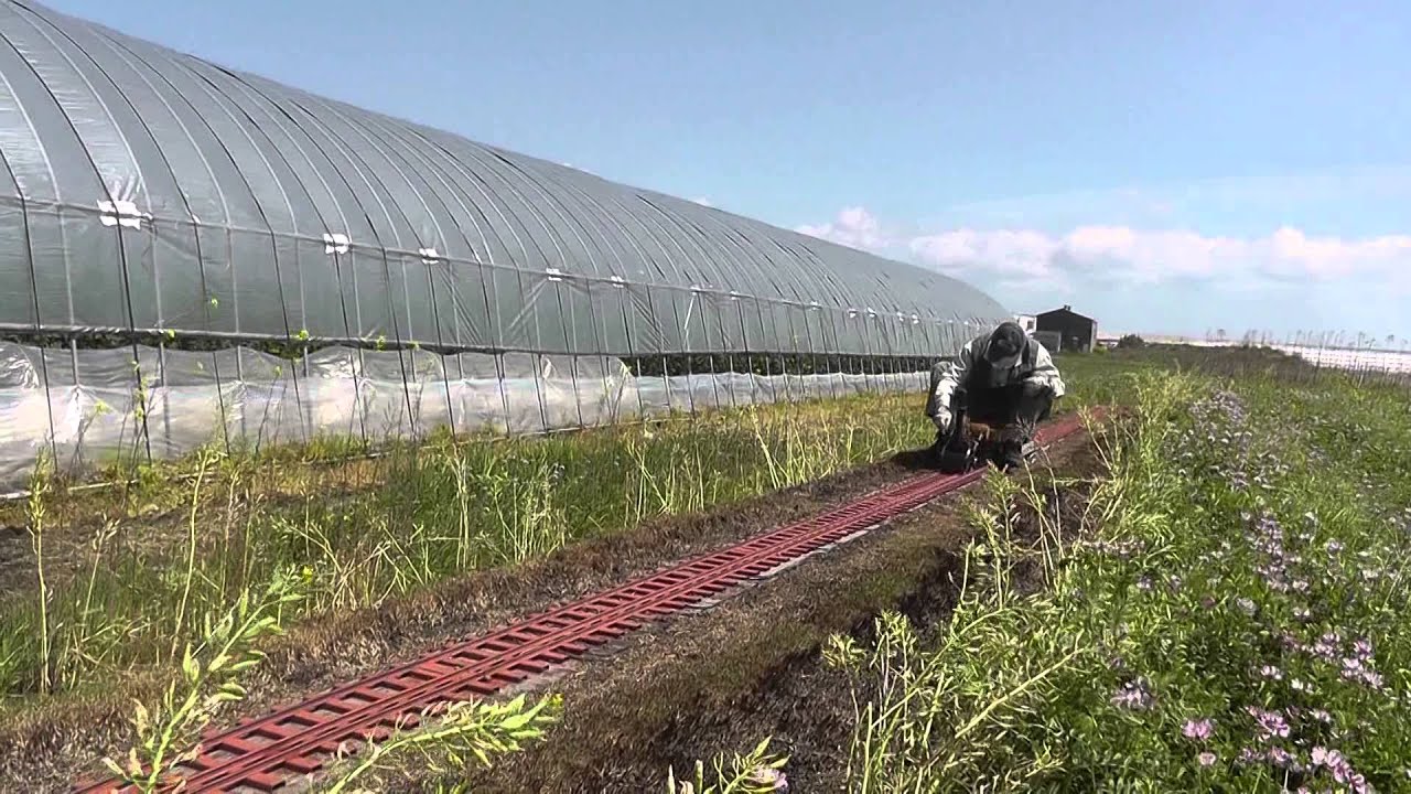 5"gauge Stepheoson's Rocket(OS Rocket) coal fired - YouTube