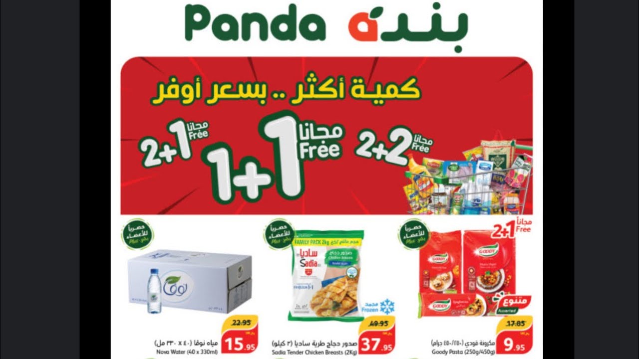Panda buy one get one free offer😲| dinner at Biryani 65 | grocery ...