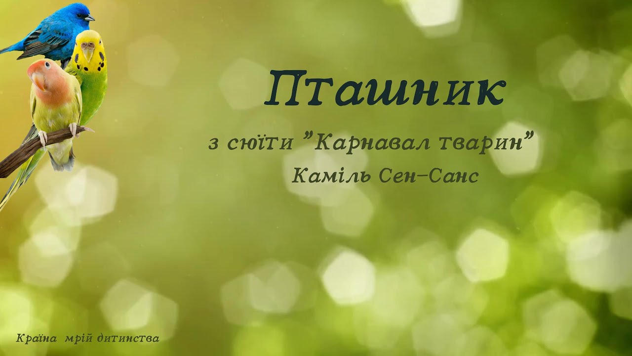 10 Пташник з сюїти Карнавал тварин Каміль Сен Санс Youtube