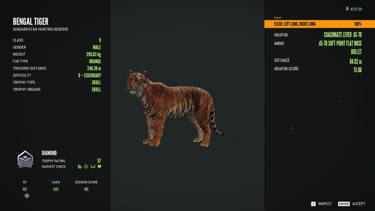 TheHunter: Call of the Wild - Diamond Bengal Tiger (Sundarpatan) - YouTube