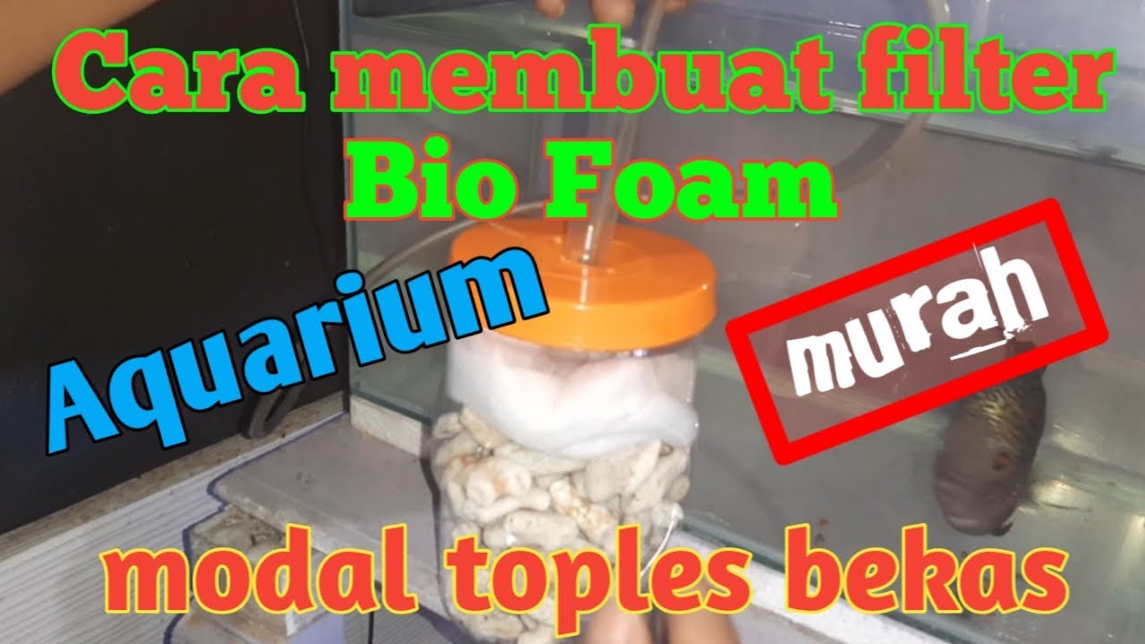 Cara membuat filter aquarium bio foam dari toples bekas|| jamin murah ...