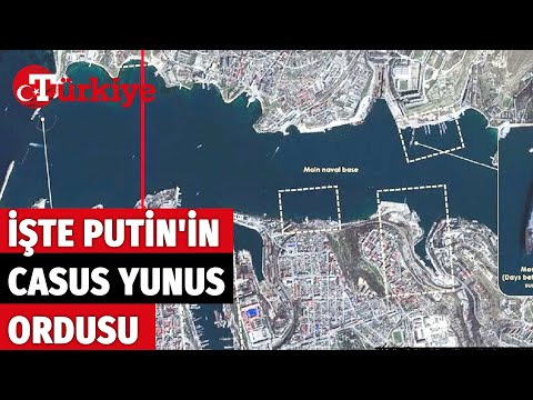 Şoke Eden Uydu Görüntüleri! Rusya 'Askeri Yunusları' Devreye Soktu