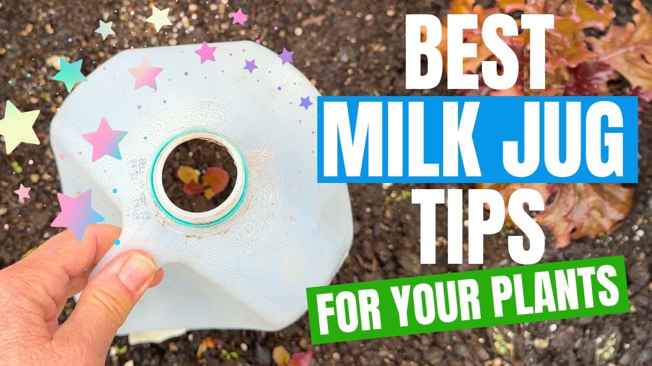 Quick Gardening Tip - Milk Jugs Tricks You Need To Try - YouTube