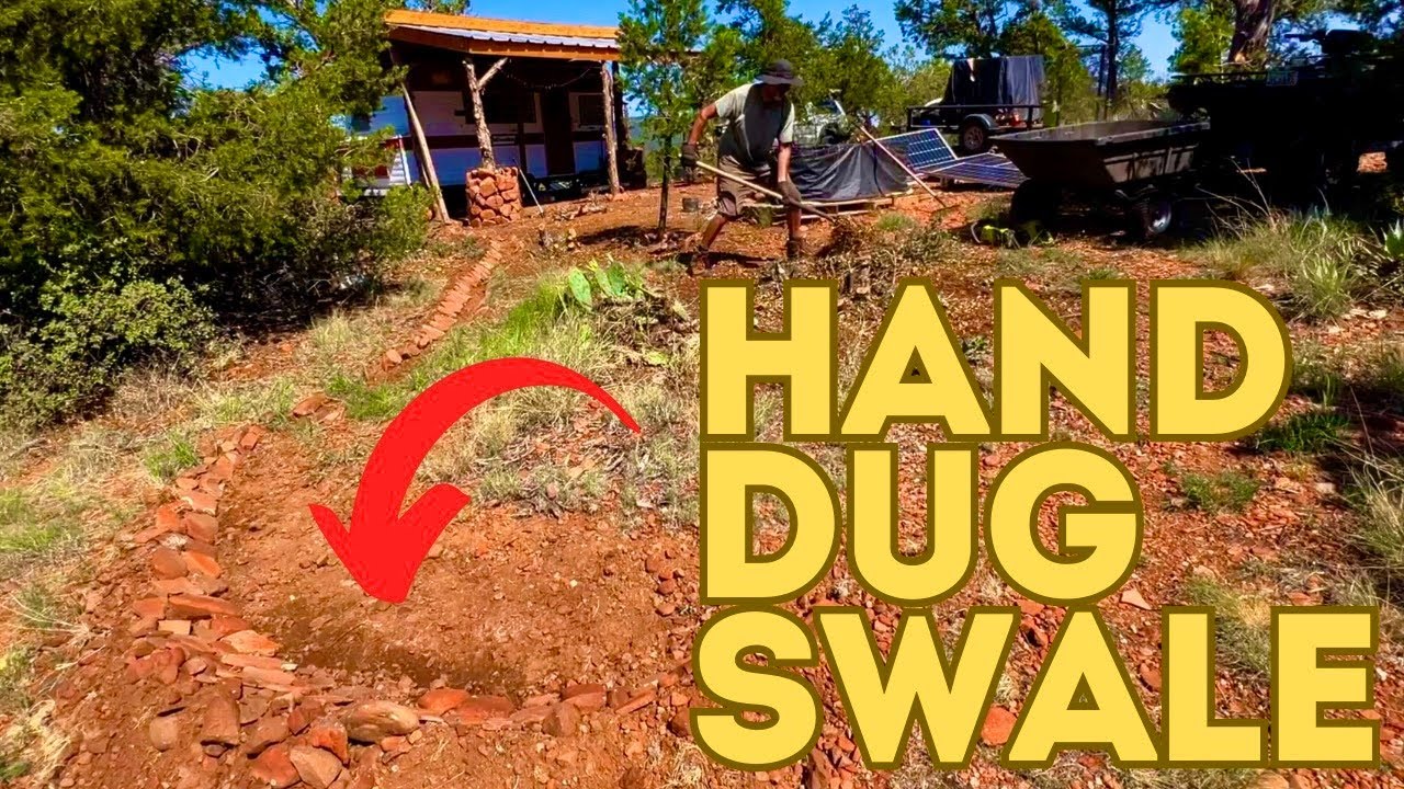 HAND DUG SWALES FOR FRUIT TREE PRODUCTION IN NORTHERN ARIZONA - YouTube