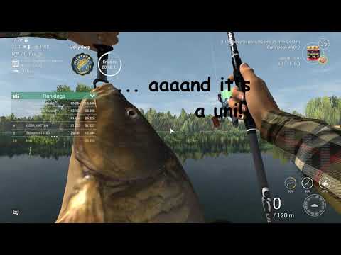 The Fisherman Weeping Willow, Jolly Carp 1st place - YouTube