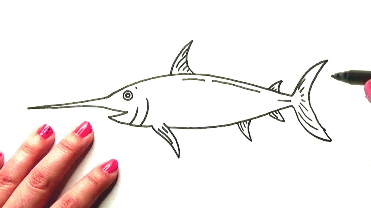 Cómo dibujar un Pez Espada - YouTube