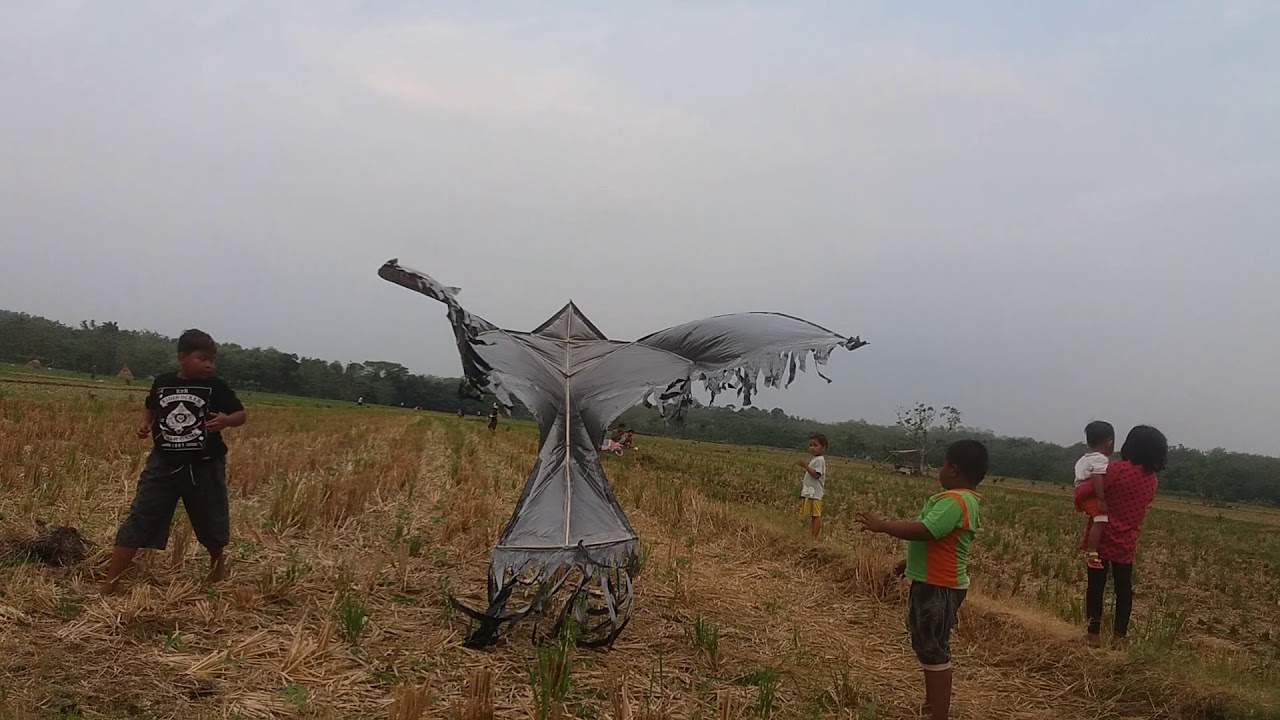 WOW Layangan Burung Gagak jadi Raja - YouTube