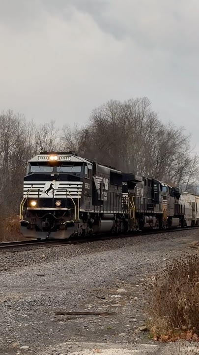 NS 6983 leading in the morning - YouTube