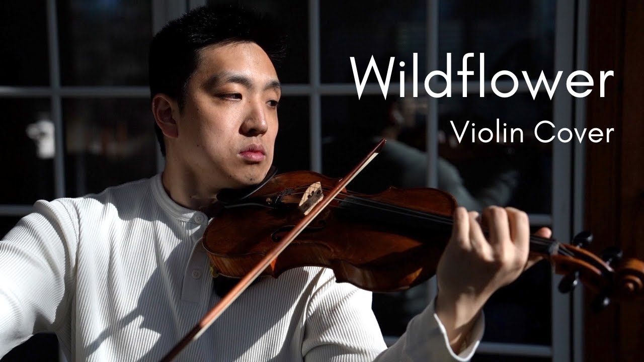 Wildflower - Billie Eilish (Violin Cover) - YouTube Music