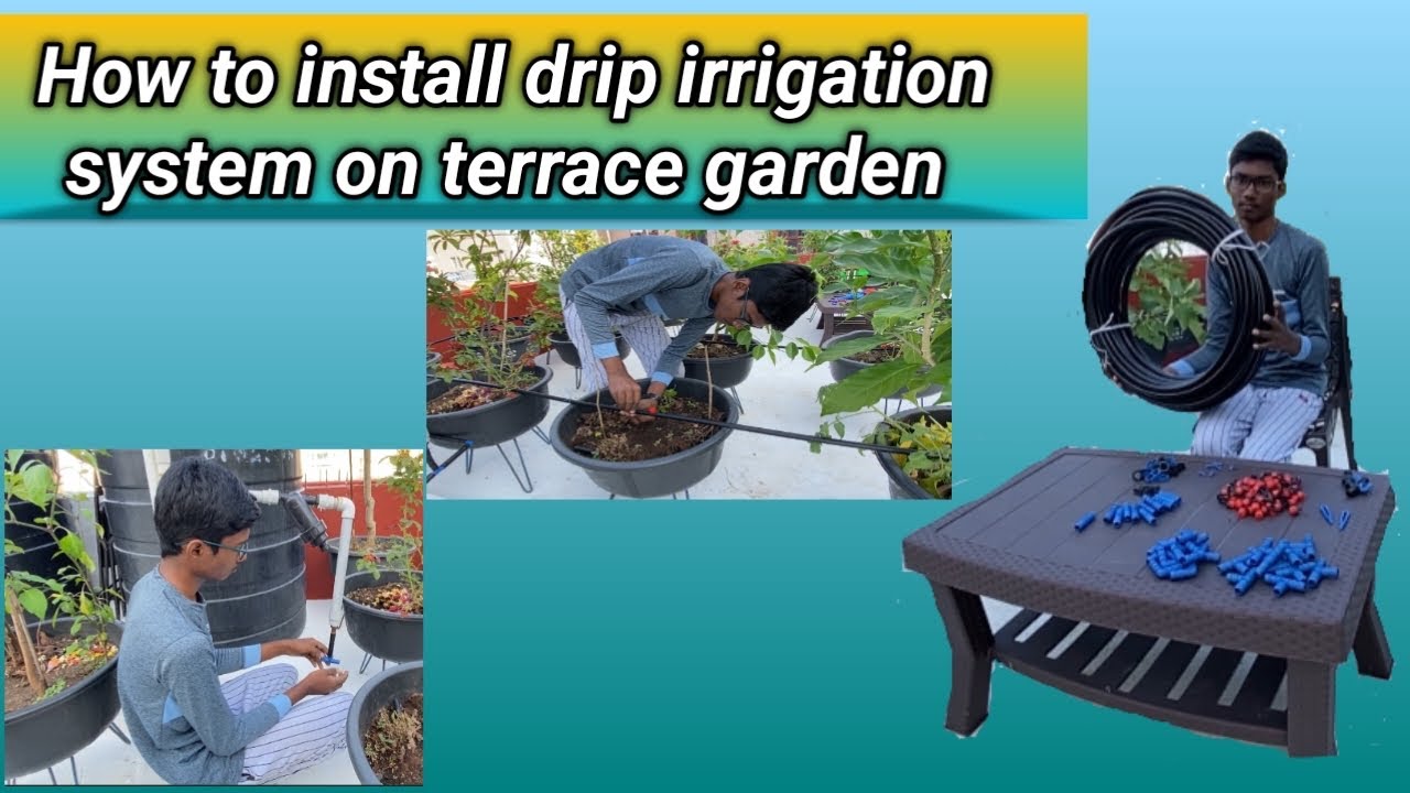 How to arrange drip irrigation system on terrace garden 🪴 - YouTube