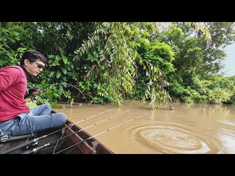 Fishing for Giant Freshwater Shrimp and Fish from a Rowboat