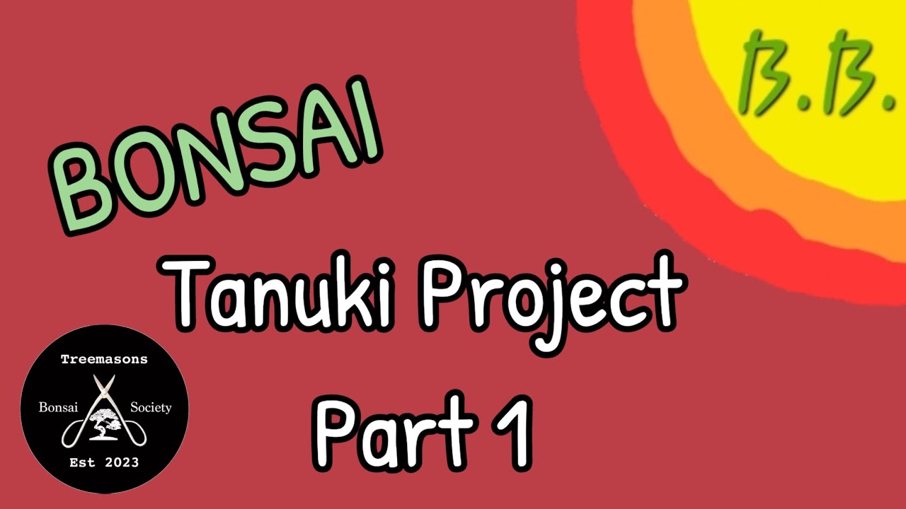 Bonsai: Tanuki Project Part 1: Finding the Dead Wood - YouTube