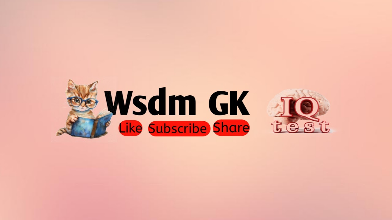 Wsdm Rise Live Stream - YouTube