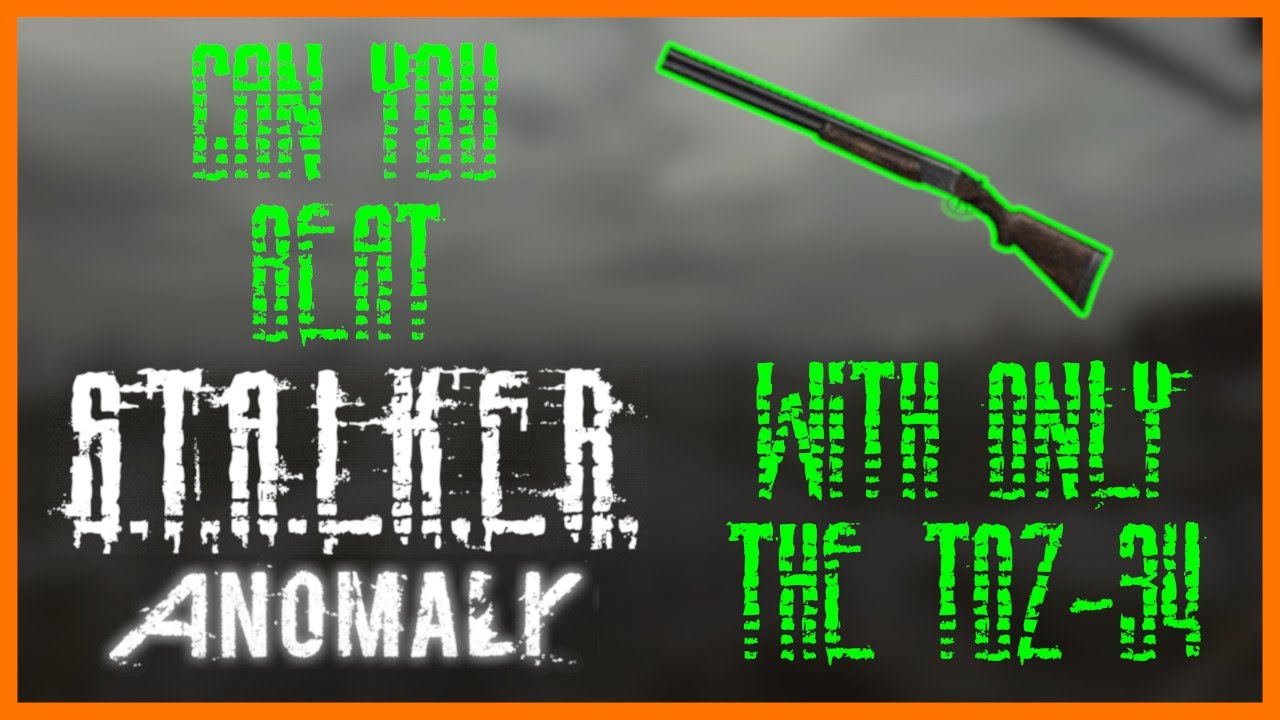 Can You Beat Stalker With Only The Toz-34? - YouTube