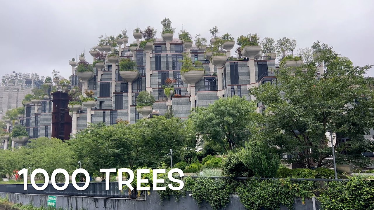 1000 Trees - YouTube