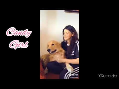 jiji maa star (tanvi dogra) tiktok videos