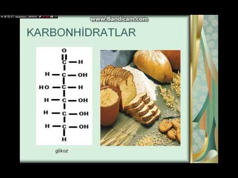 HAZIR SLAYT - Canlılarda Enerji