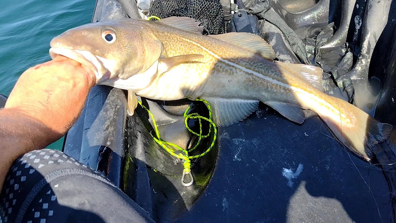 Vanlife in my 1988 Toyota Hiace Campervan Day 17 Kayak Fishing Runswick ...