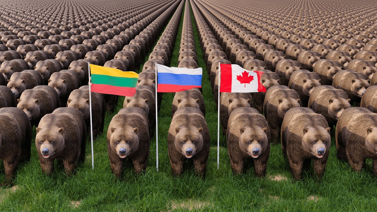 Which Country Has The Largest Population Of Giant Bears? There's A Huge ...