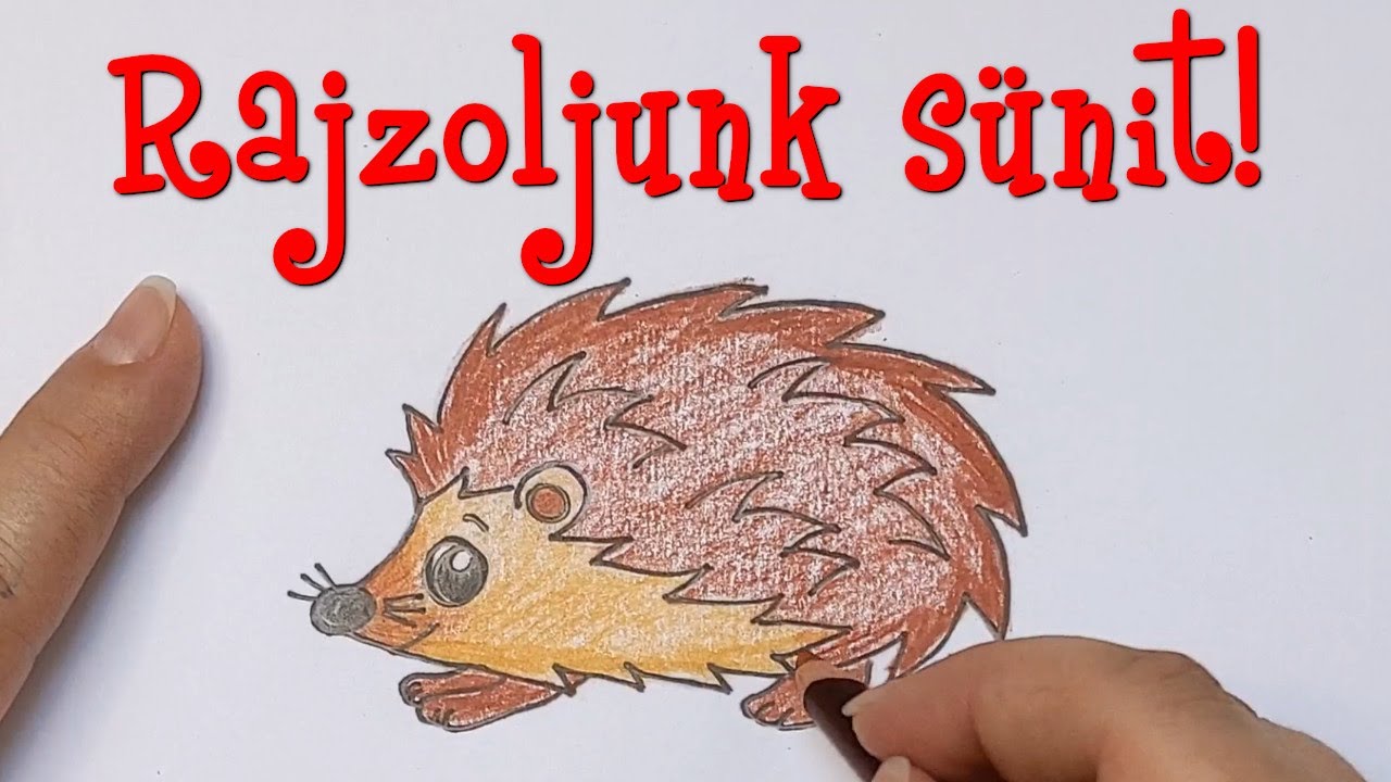 Rajzoljunk sünit! - YouTube