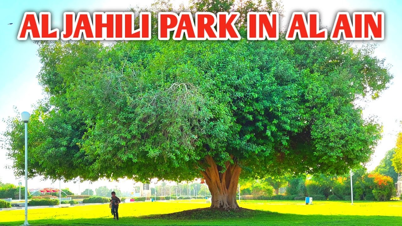 AL JAHILI PARK AL AIN#subscribe #youtube #share #alain @UAEROCKS - YouTube