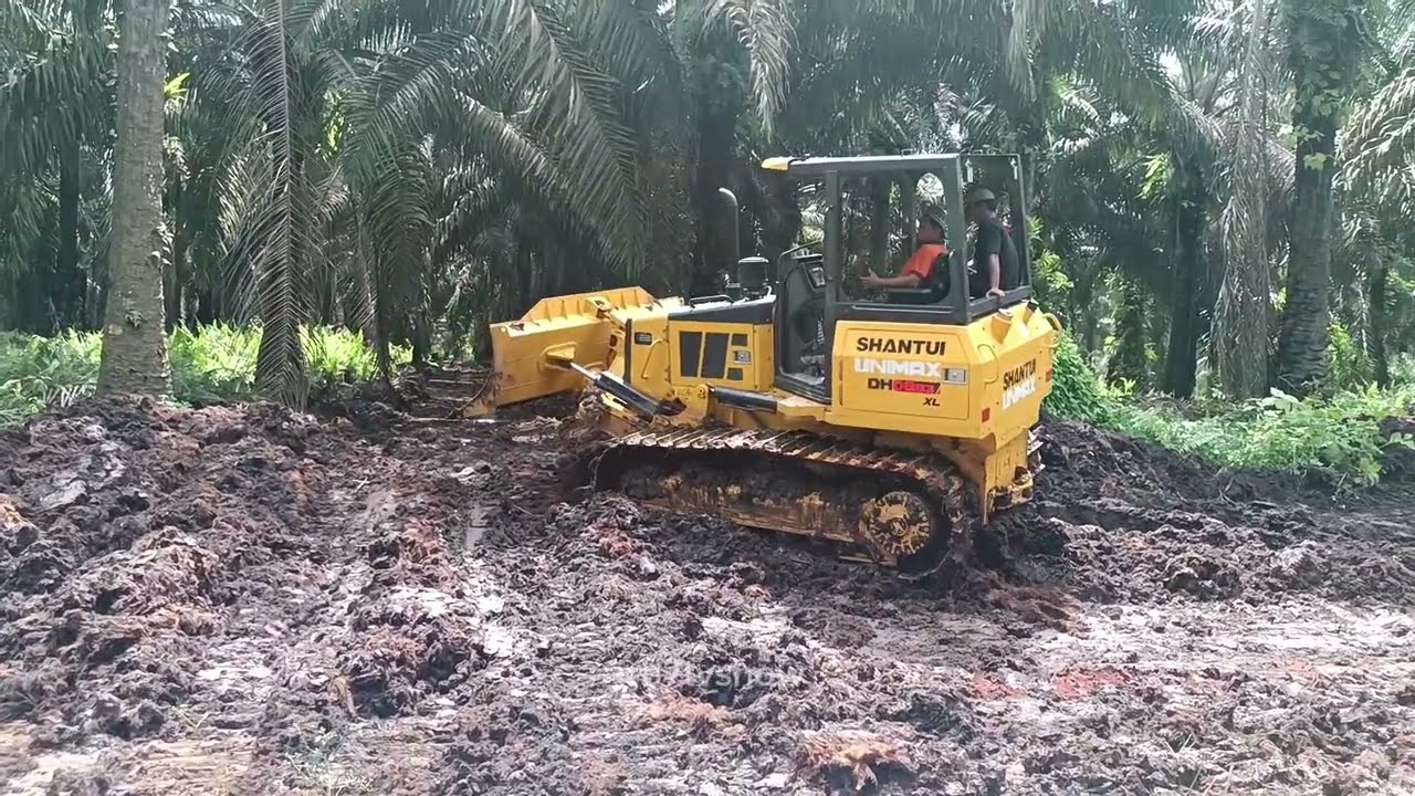 Shantui DH08-B3 Dozer Sweeps Collection Road - YouTube