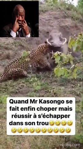 KASSONGO ENFIN PRIS DANS SON PROPRE PIÈGE EN 2025. - YouTube