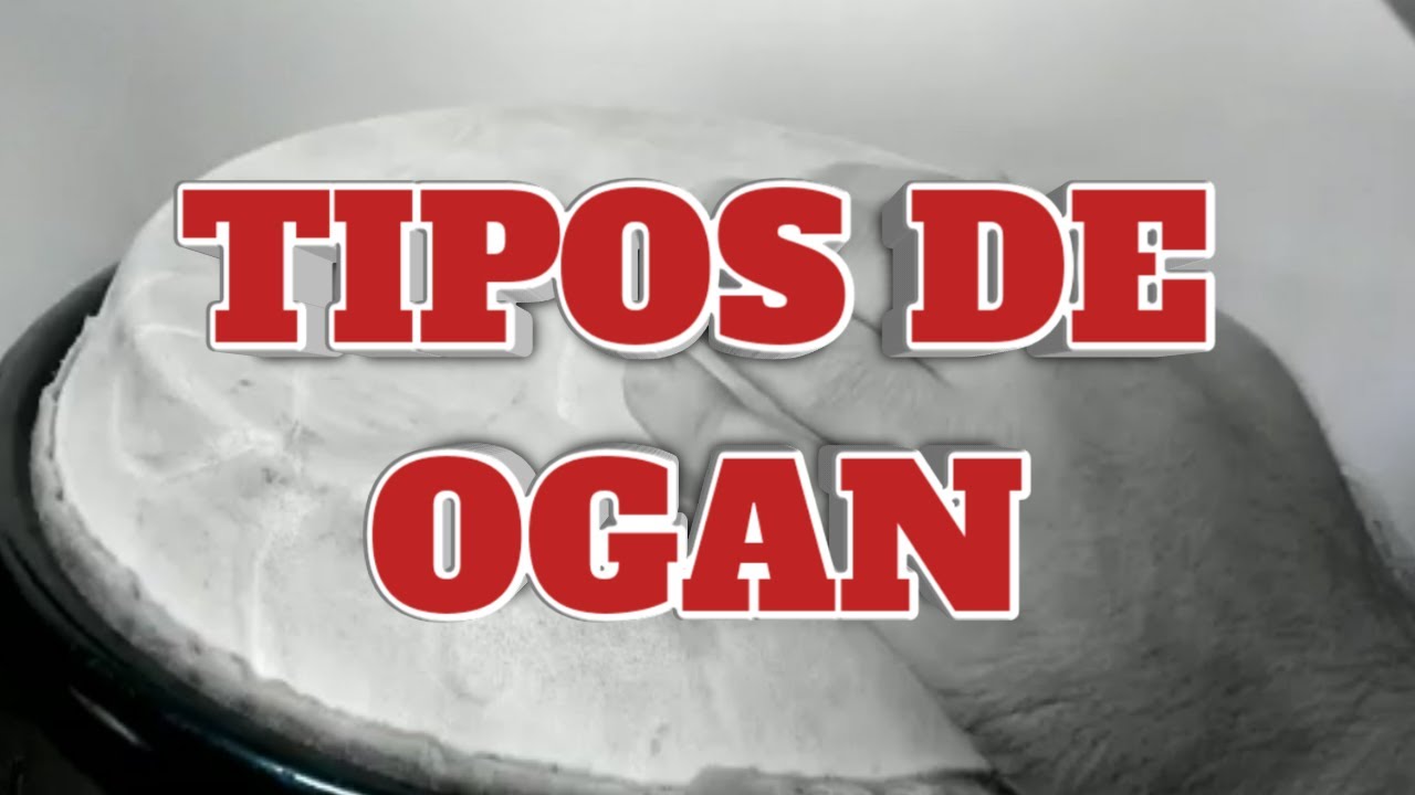 Quais são os tipos de ogan que existe? - YouTube