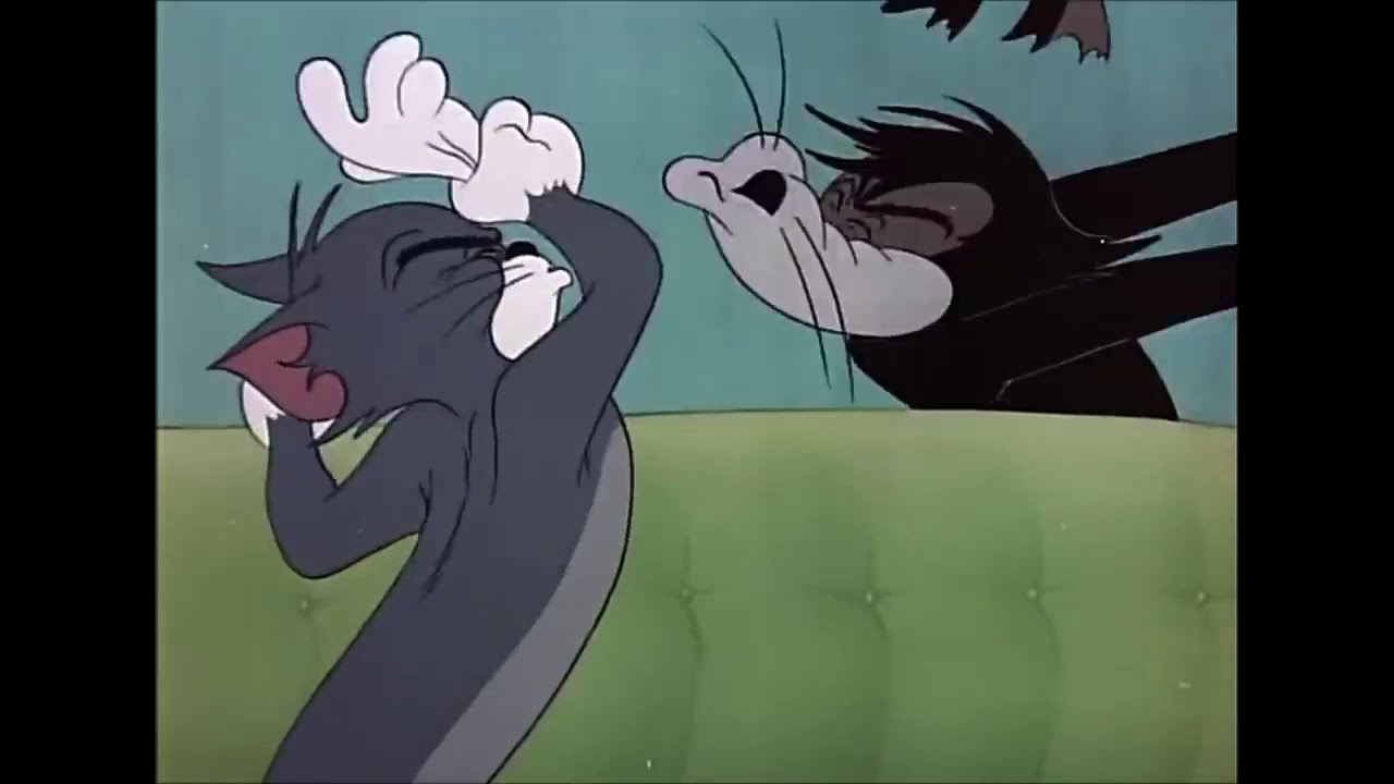 Tom and Jerry | Classic Cartoon Compilation | Casanova Cat - YouTube
