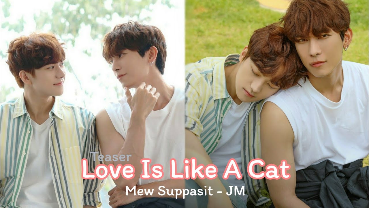 Teaser 1-2 Love Is Like A Cat | 사랑은고양이처럼#MewSuppasit#JM#LoveIsLikeACat# ...