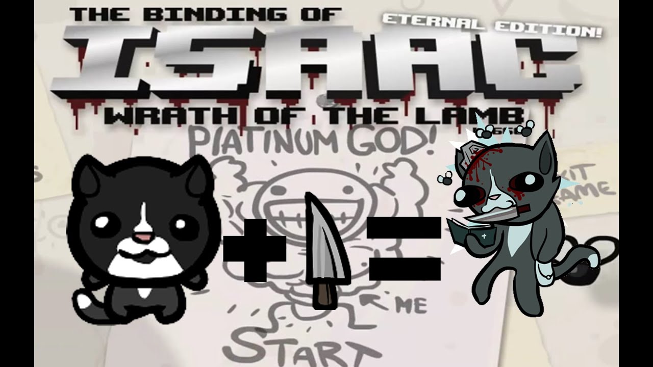GATO FACOSO!!! - The Binding of Isaac: Eternal Edition #2 PTBR - YouTube