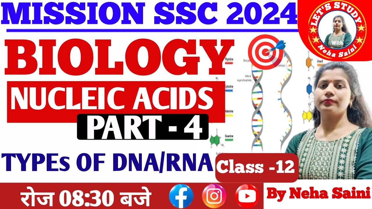 Class 12 | Nucleic Acid | Types of RNA/DNA , structure of RNA | - YouTube