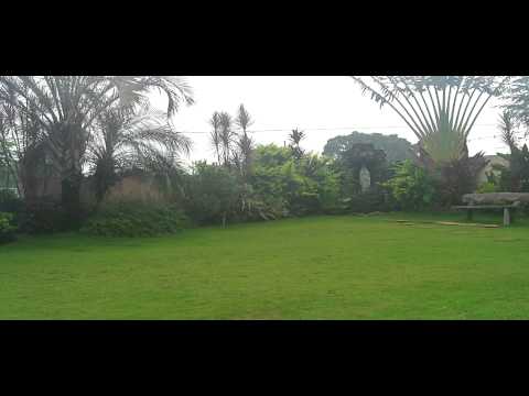 NE Nine Eagles Solo Pro - Rotor head with Mod Y - Outdoor 9