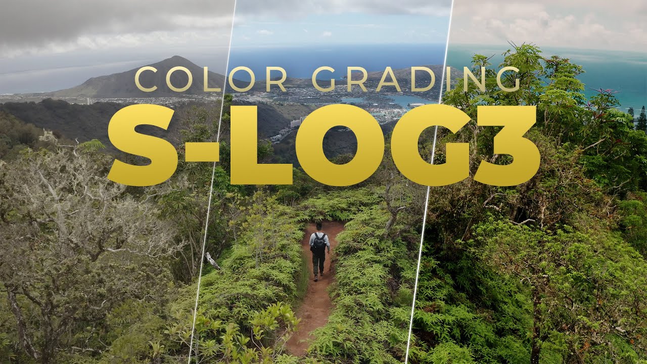 How to Color Grade S-LOG3 in Premiere Pro! - YouTube