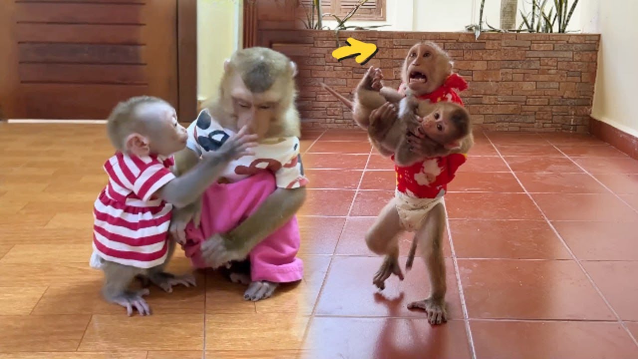 PoPo Hug Linda Like Baby, Linda Thankful Take Care PoPo Like Real Dad ...